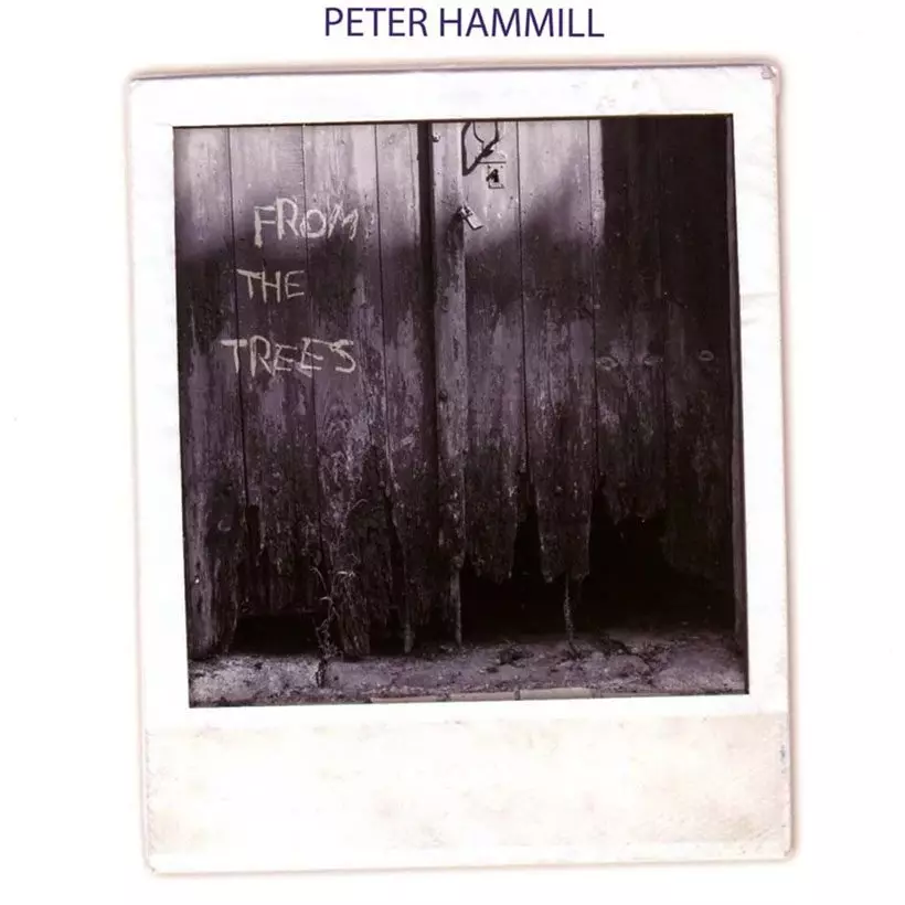 Peter Hamill ze Stromů