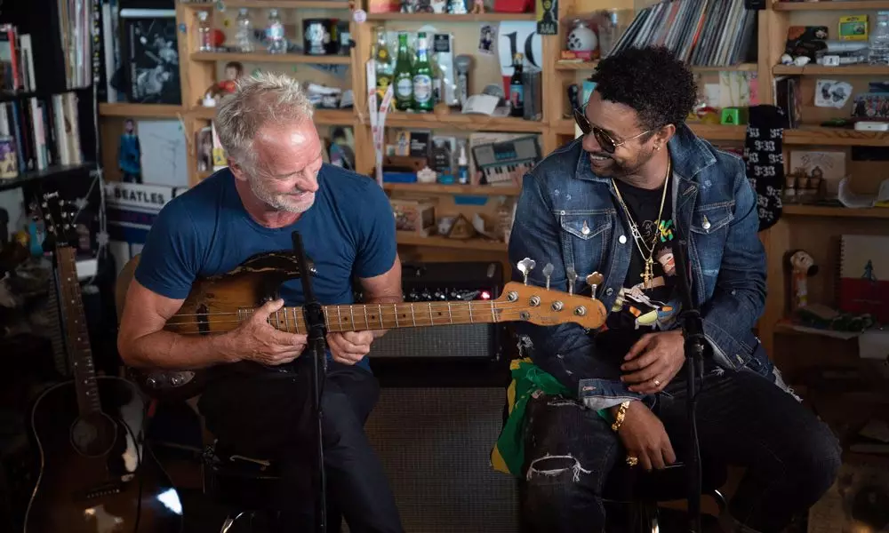 ຊຸດຄອນເສີດ Sting Shaggy Tiny Desk