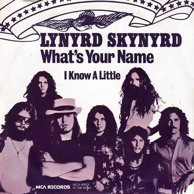 Lynyrd Skynyrd-kunstwerk: UMG