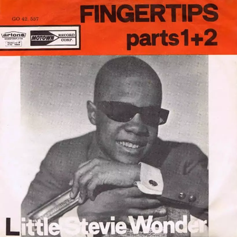 Vârfurile degetelor Stevie Wonder