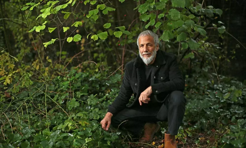 Yusuf-Cat-Stevens-Te-For-The-Tillerman-Fideo