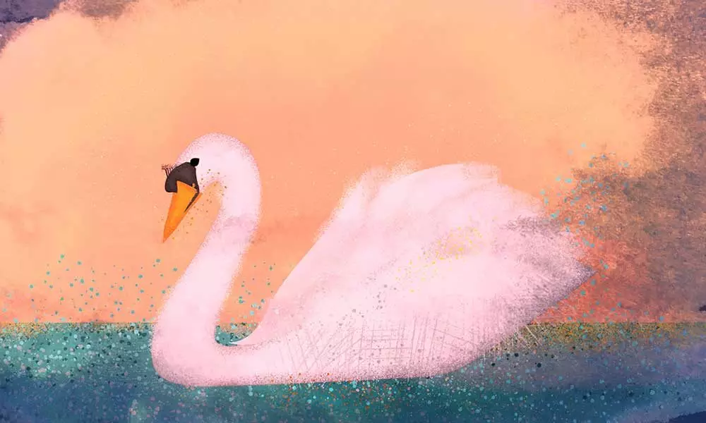 Saint Saens Carnival Of The Animals — The Swan — attēlots attēls