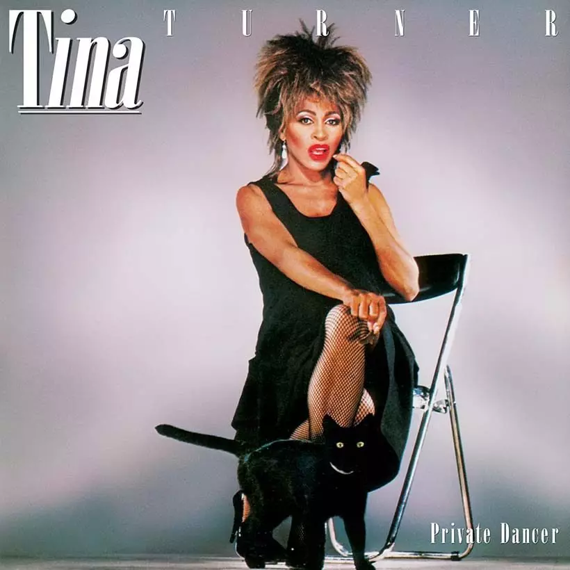Tina Turner Private Dancer Album Chivundikiro cha intaneti chokongoletsedwa ndi 820