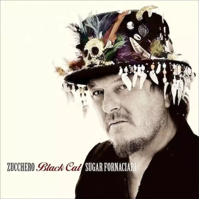 Knopfler, Bono, Costello Pa Album ya Zucchero - uDiscover 20427_1
