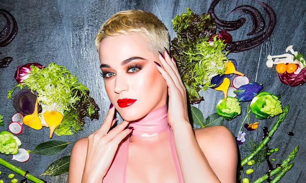 Katy Perry 2017 basın toplantısı Capitol