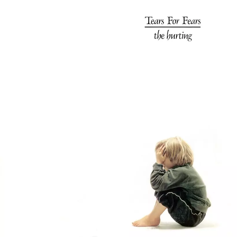 Vinyl Tears For Fears Hurting