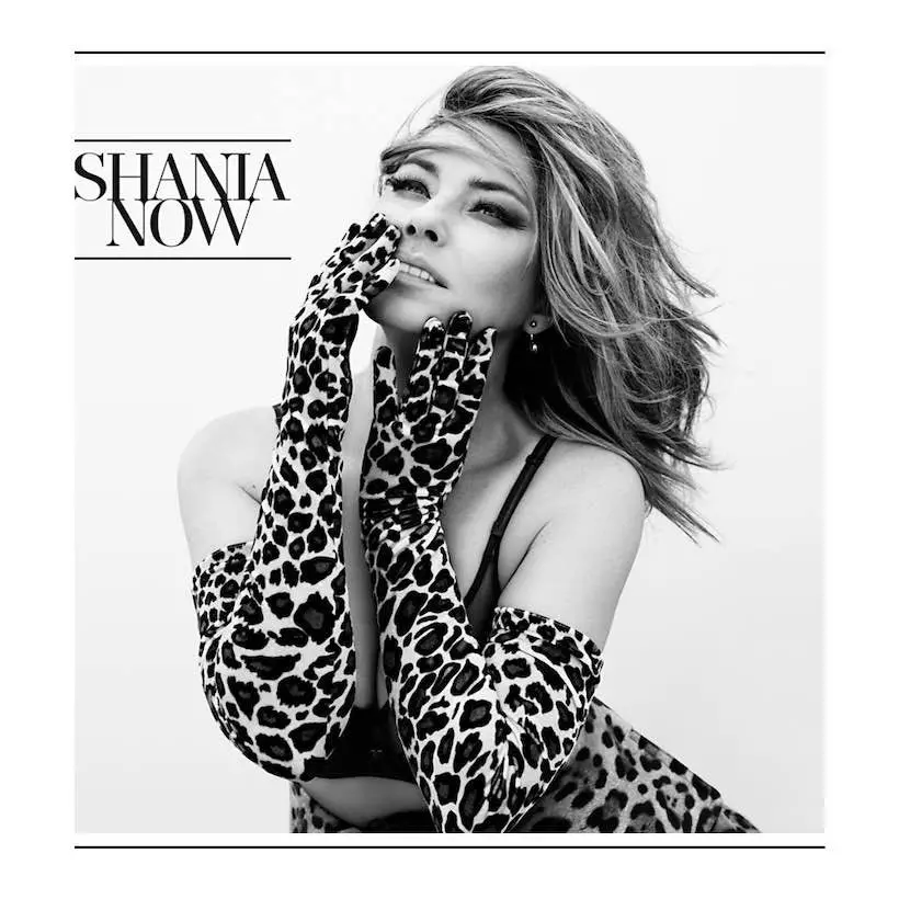Shania Twain artwork: UMG