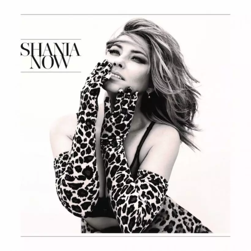 Album Shania Twain Now