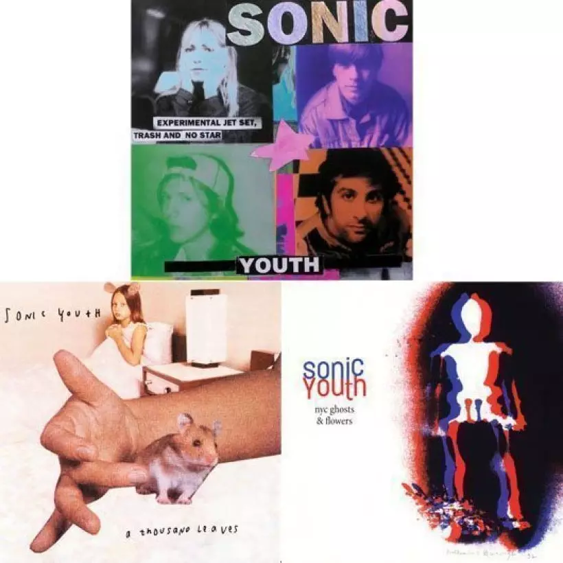 Sonic Youth - Eksperimentelle blader og blomster - 530
