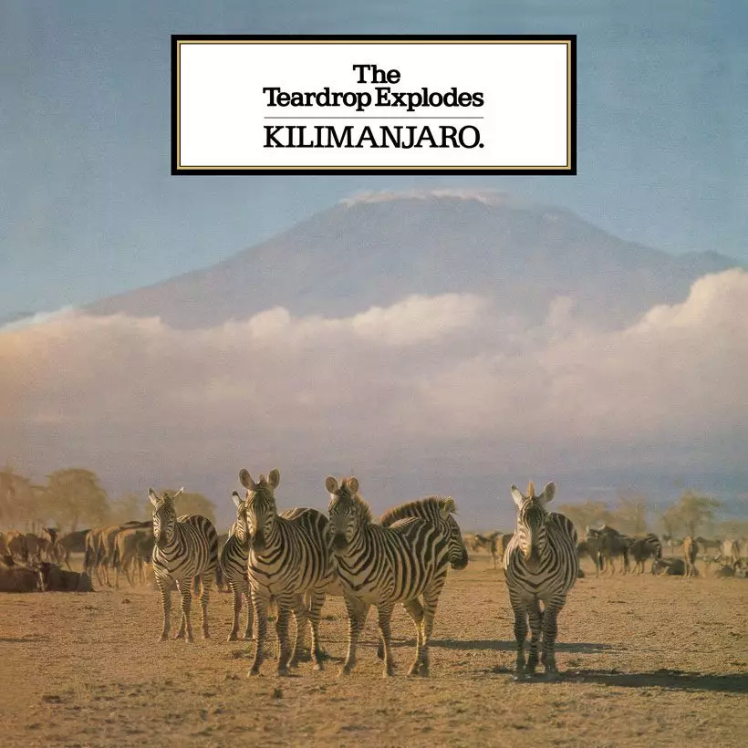 Nipoaka ny ranomaso Kilimanjaro Wilder Vinyl Reissues