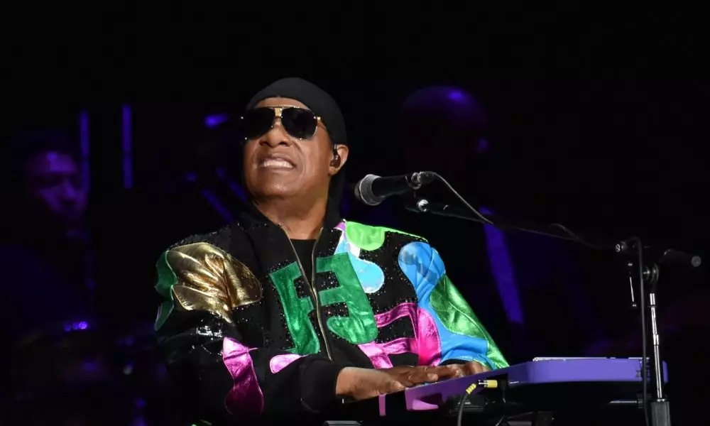 Stevie Wonder - รูปภาพ: รูปภาพ Lester Cohen / Getty สำหรับ Wonder Productions