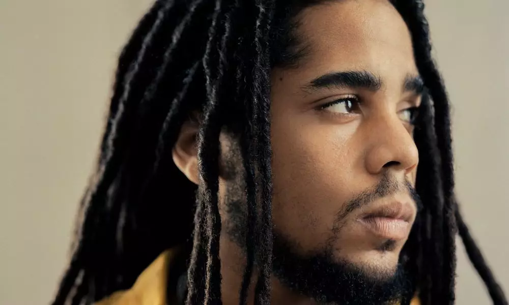 Skip Marley dijeli novi singl 'No Love' | uDiscover 38326_1