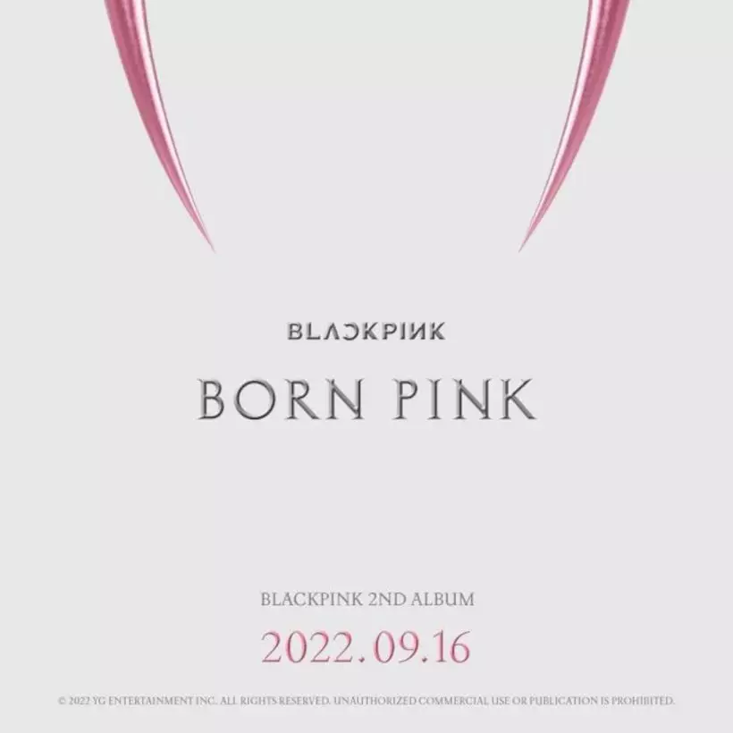 BLACKPINK - Фота: прадастаўлена YG Entertainment/Interscope Records