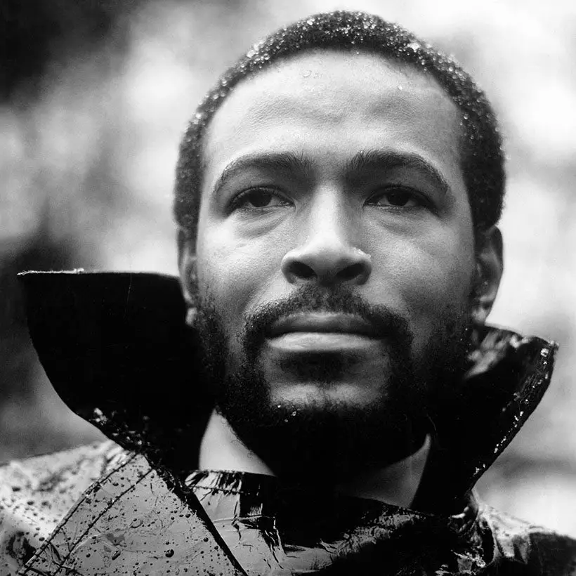 Marvin Gaye von der What's Going On Portrait Session