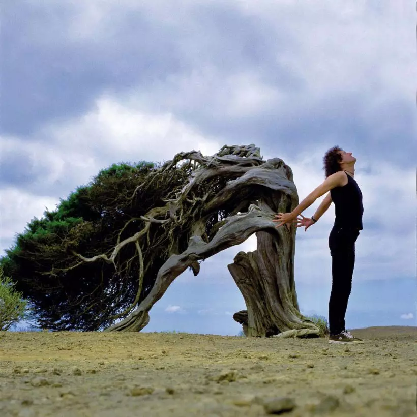 Brian-May-Back-To-The-Tree-Another-World